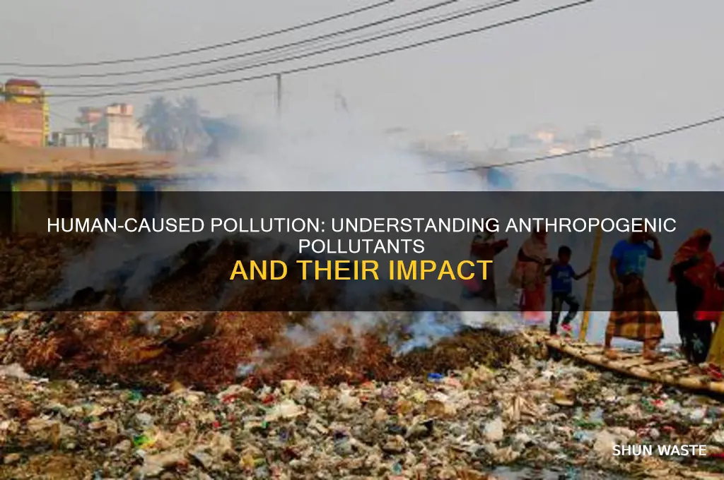 Human-Caused Pollution: Understanding Anthropogenic Pollutants And ...