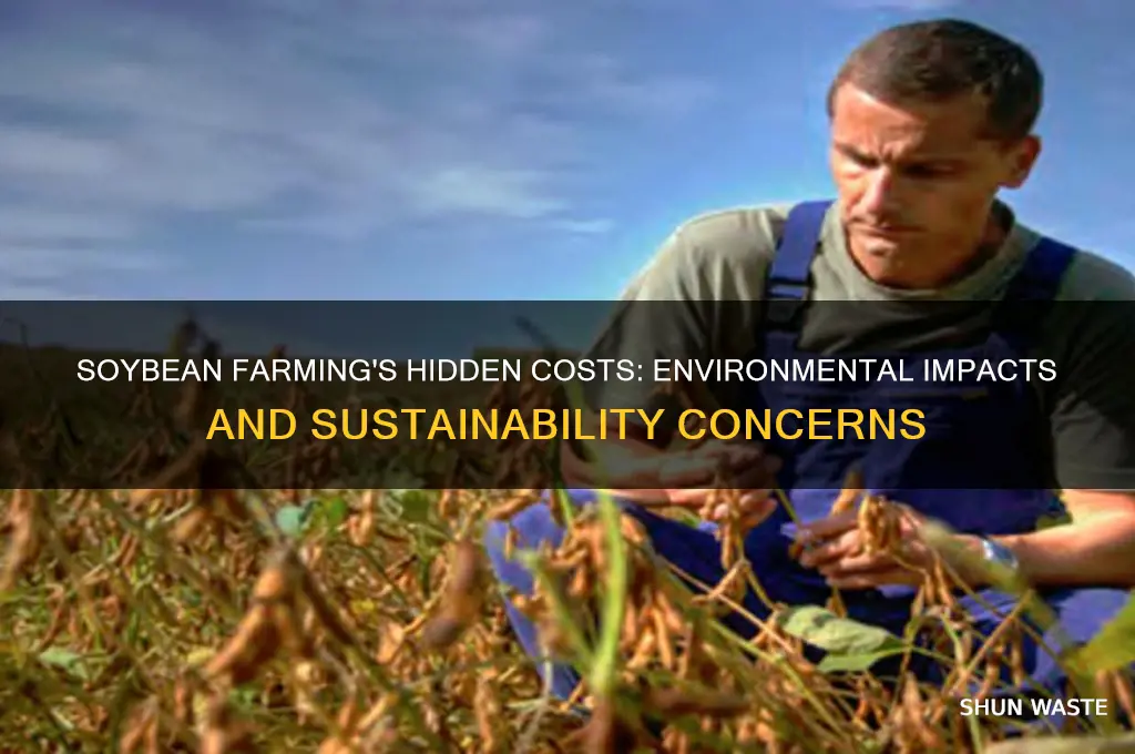Soybean Farming's Hidden Costs: Environmental Impacts And ...