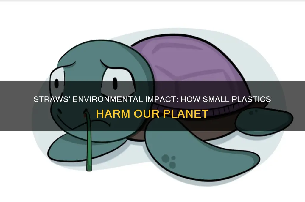 Straws’ Environmental Impact: How Small Plastics Harm Our Planet ...