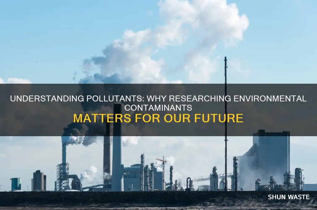 Understanding Pollutants: Why Researching Environmental Contaminants ...