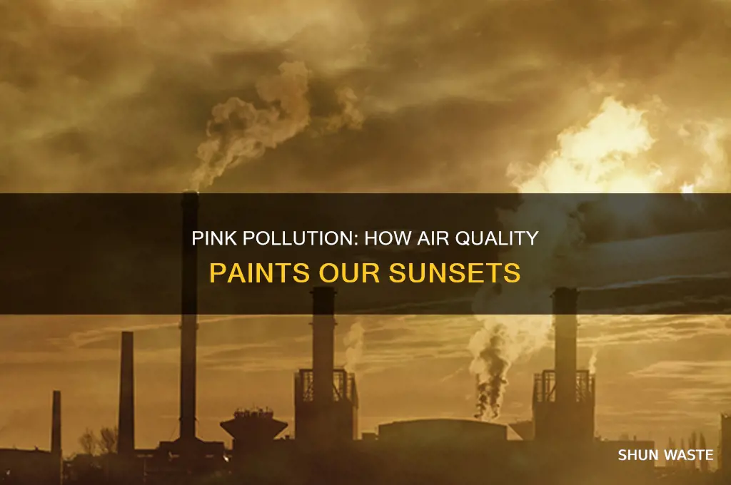 Pink Pollution: How Air Quality Paints Our Sunsets | ShunWaste