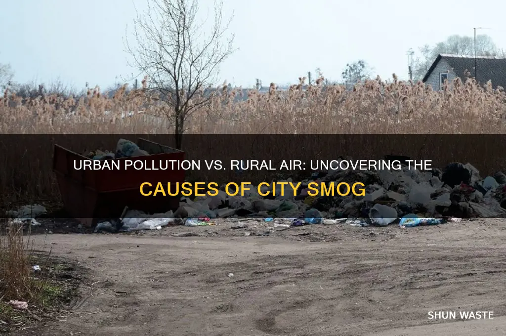 Urban Pollution Vs. Rural Air: Uncovering The Causes Of City Smog ...