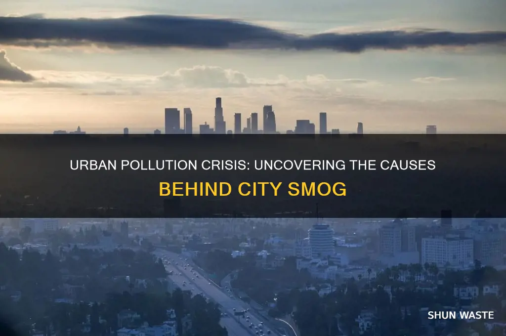 Urban Pollution Crisis: Uncovering The Causes Behind City Smog | ShunWaste