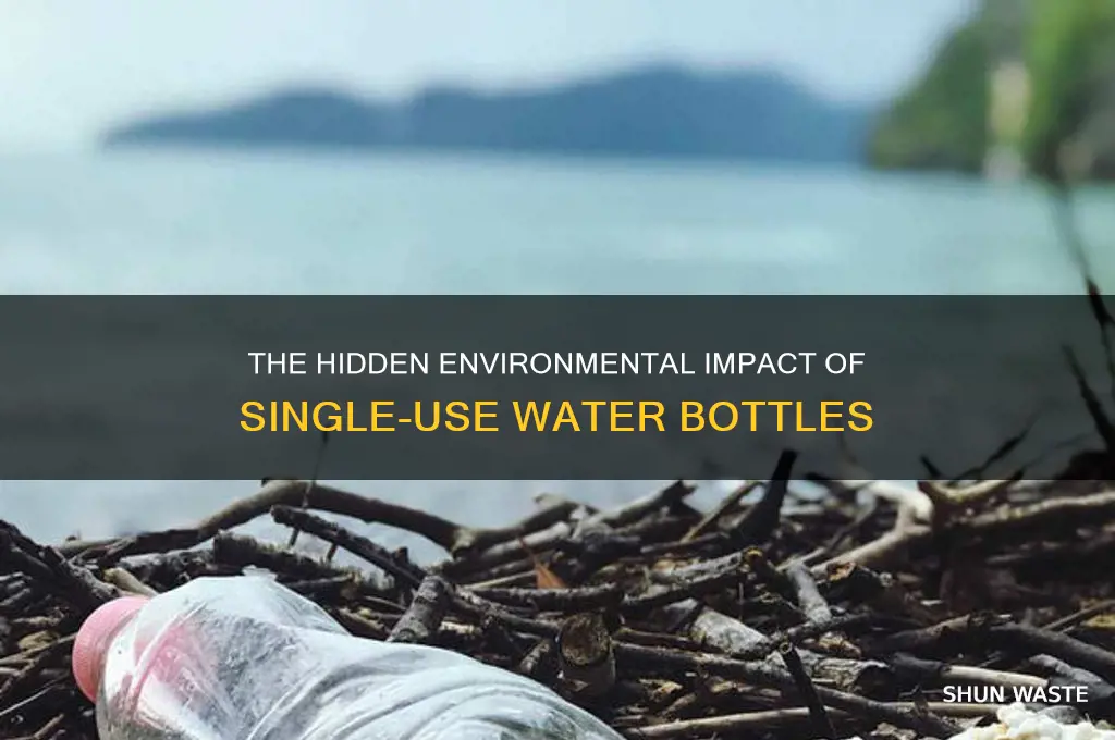 The Hidden Environmental Impact Of Single-Use Water Bottles | ShunWaste