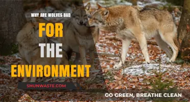 Zoos' Environmental Impact: Harmful Practices And Unsustainable ...