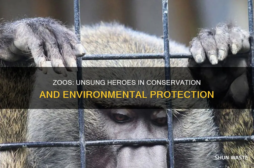 Zoos: Unsung Heroes In Conservation And Environmental Protection ...
