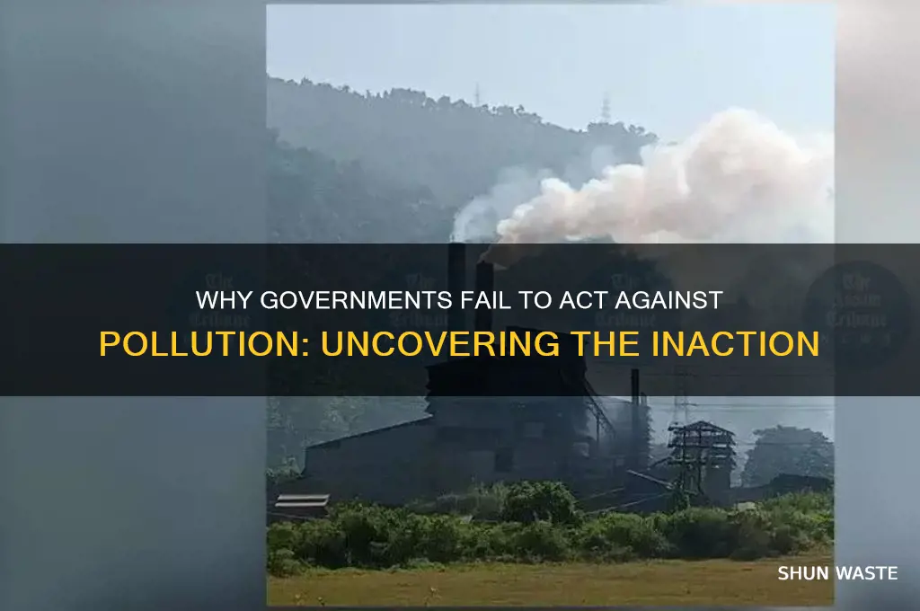Why Governments Fail To Act Against Pollution: Uncovering The Inaction ...