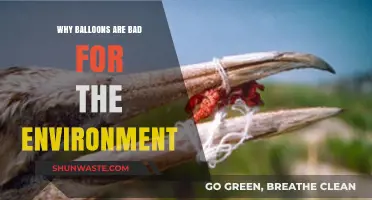 Biofuels' Hidden Costs: Environmental Impacts And Unsustainable ...