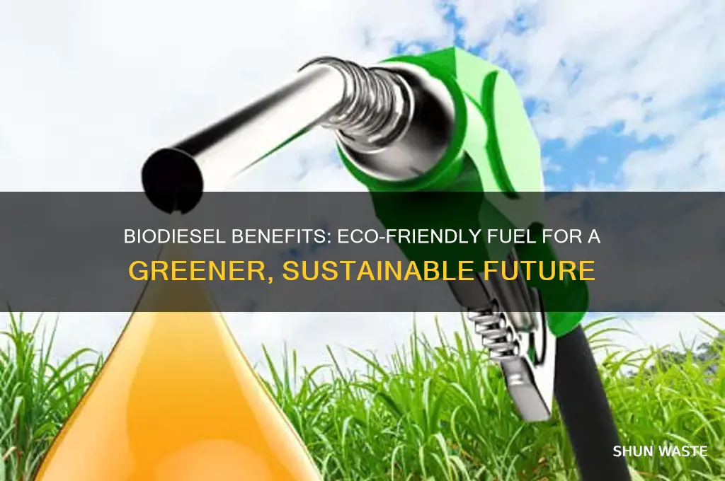 Biodiesel Benefits: Eco-Friendly Fuel For A Greener, Sustainable Future ...