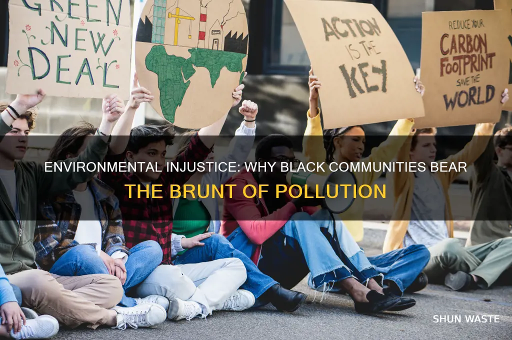 Environmental Injustice: Why Black Communities Bear The Brunt Of ...