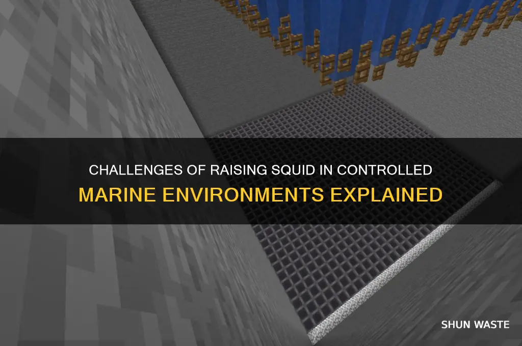 Challenges Of Raising Squid In Controlled Marine Environments Explained ...