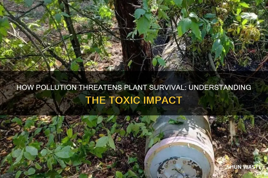 How Pollution Threatens Plant Survival: Understanding The Toxic Impact ...