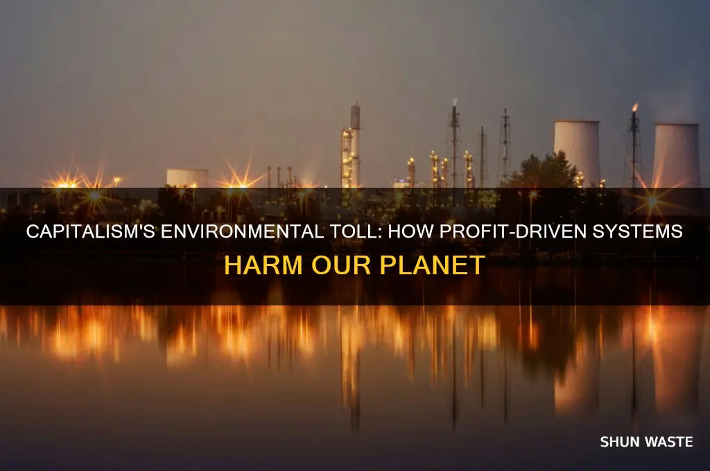Capitalism's Environmental Toll: How Profit-Driven Systems Harm Our ...