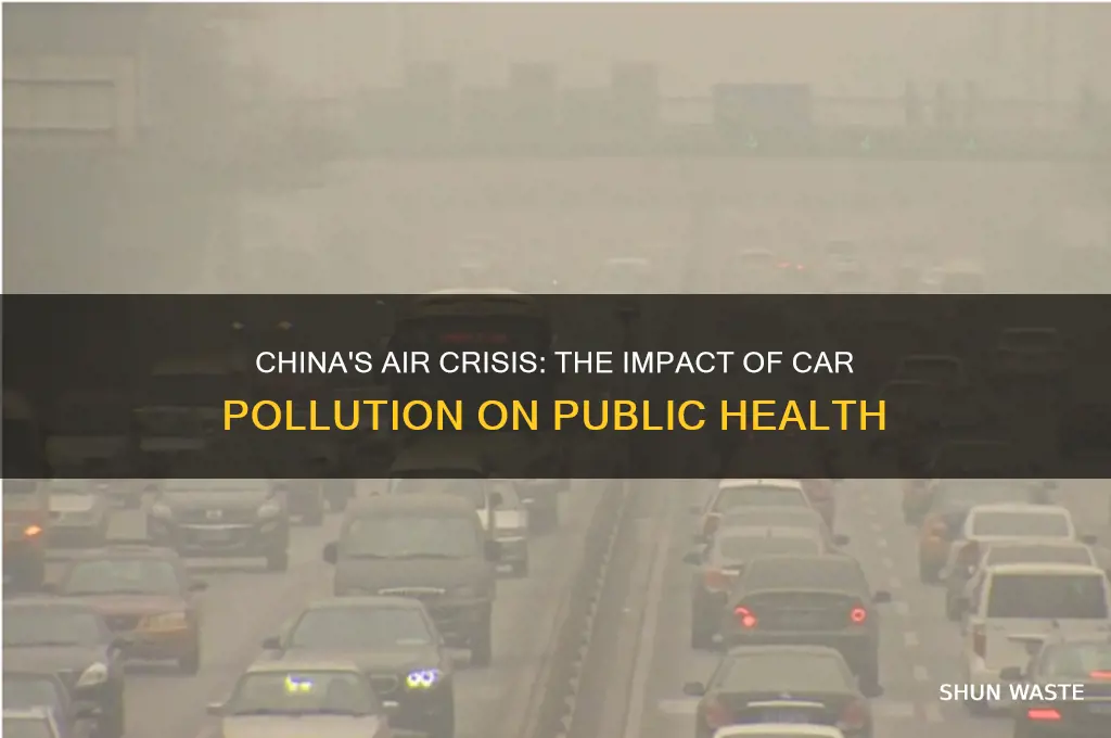 China's Air Crisis: The Impact Of Car Pollution On Public Health ...
