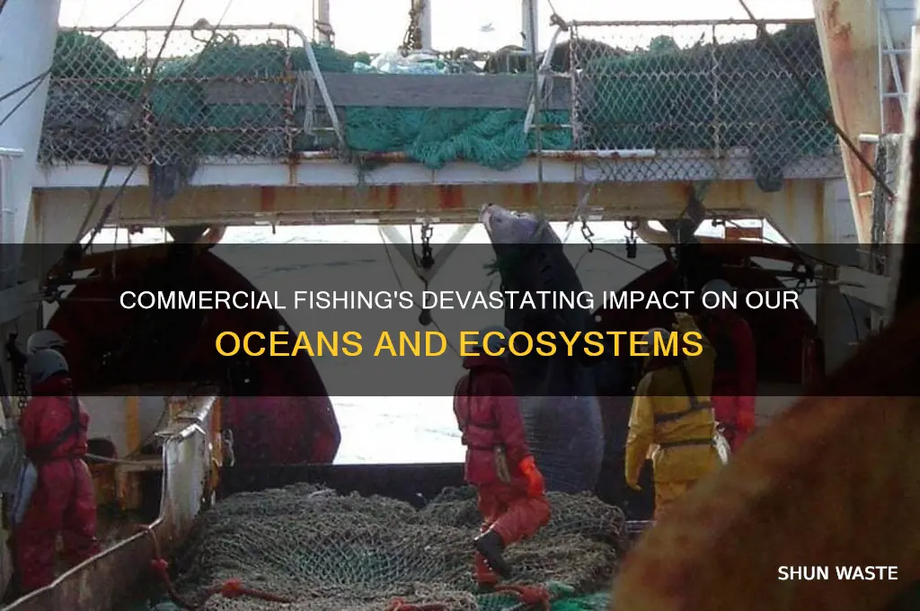 Commercial Fishing's Devastating Impact On Our Oceans And Ecosystems ...