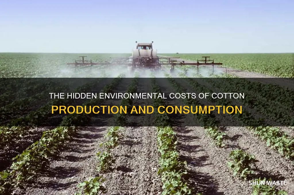 The Hidden Environmental Costs Of Cotton Production And Consumption ...
