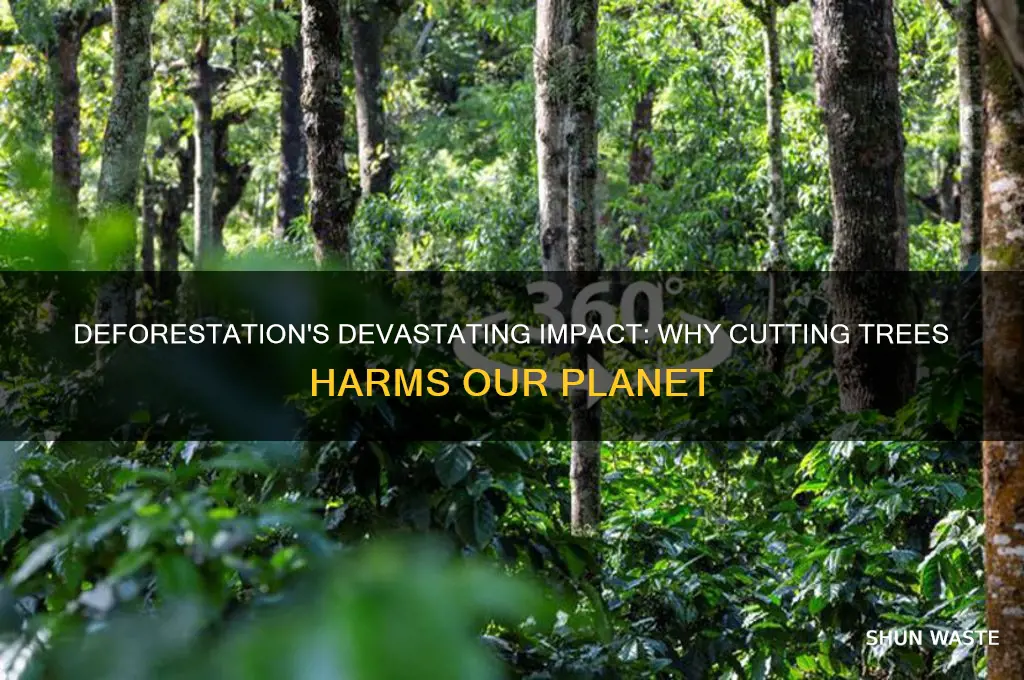 Deforestation's Devastating Impact: Why Cutting Trees Harms Our Planet ...