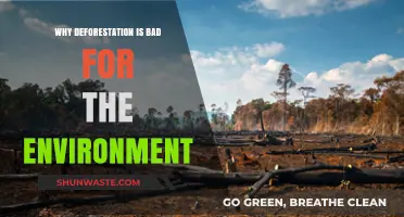 Desalination's Dark Side: Environmental Impacts And Unsustainable ...