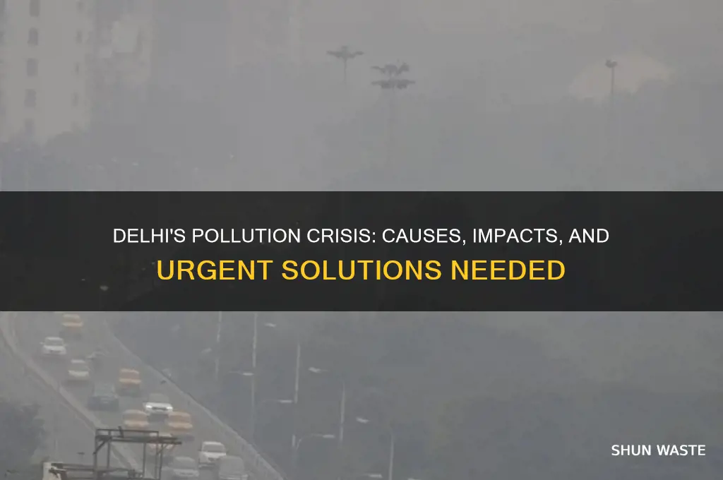 Delhi's Pollution Crisis: Causes, Impacts, And Urgent Solutions Needed ...