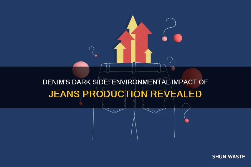 Denim's Dark Side: Environmental Impact Of Jeans Production Revealed ...