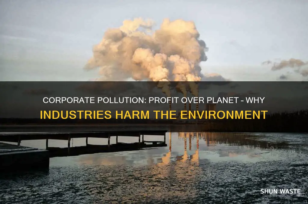 Corporate Pollution: Profit Over Planet – Why Industries Harm The ...