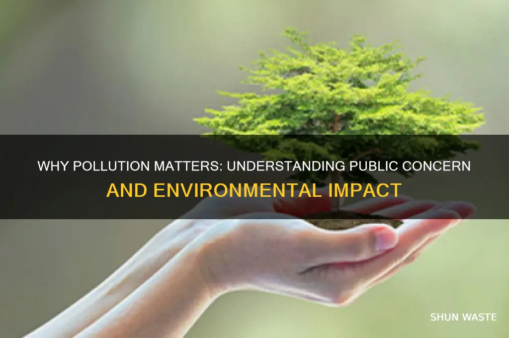 Why Pollution Matters: Understanding Public Concern And Environmental ...