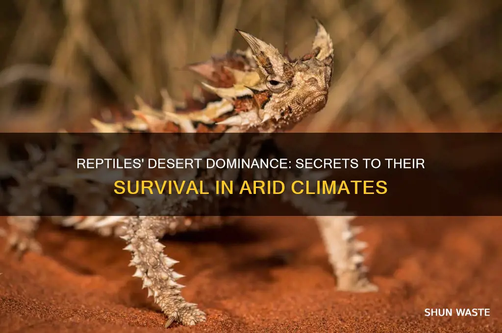 Reptiles' Desert Dominance: Secrets To Their Survival In Arid Climates ...