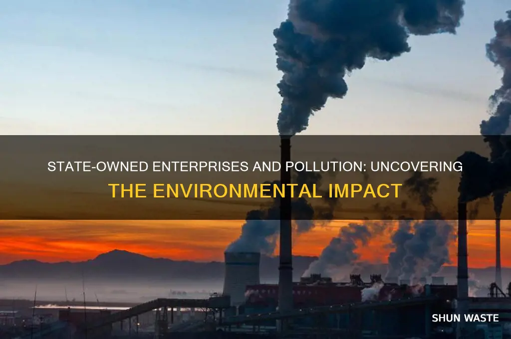 State-Owned Enterprises And Pollution: Uncovering The Environmental ...