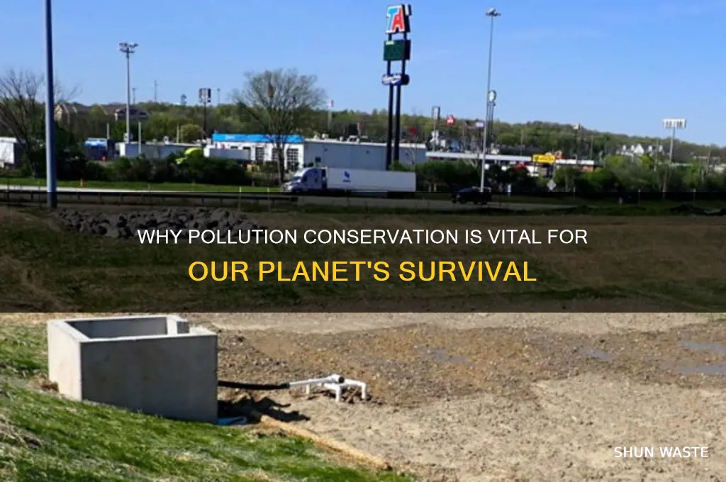 Why Pollution Conservation Is Vital For Our Planet's Survival | ShunWaste
