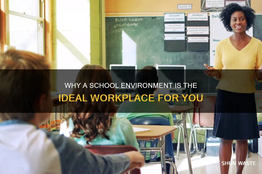 Why A School Environment Is The Ideal Workplace For You | ShunWaste