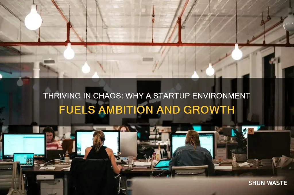 Thriving In Chaos: Why A Startup Environment Fuels Ambition And Growth ...