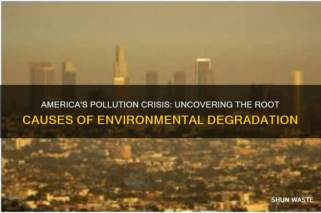 America's Pollution Crisis: Uncovering The Root Causes Of Environmental ...