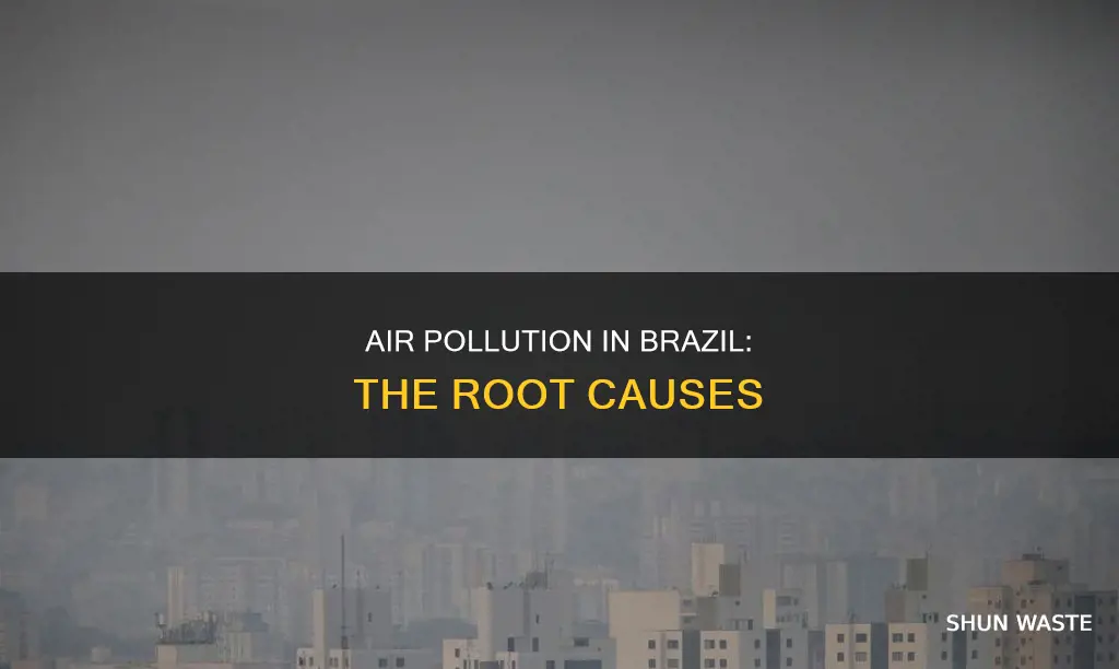 Air Pollution In Brazil: The Root Causes | ShunWaste