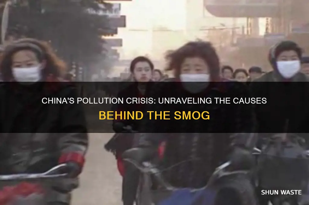 China's Pollution Crisis: Unraveling The Causes Behind The Smog | ShunWaste