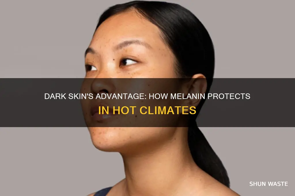 Dark Skin's Advantage: How Melanin Protects In Hot Climates | ShunWaste
