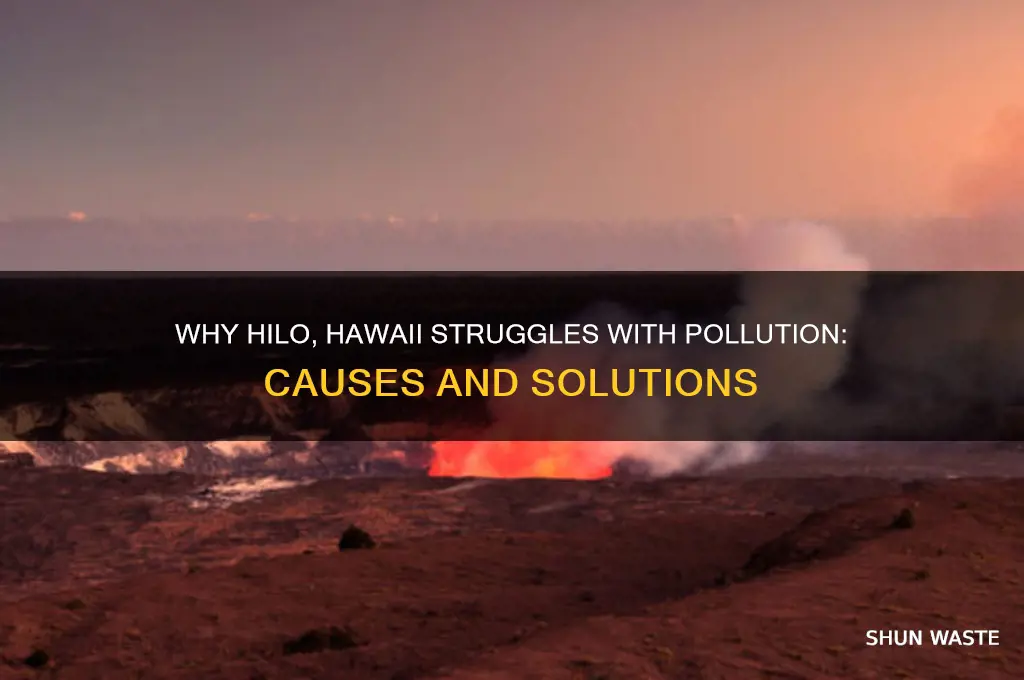 Why Hilo, Hawaii Struggles With Pollution: Causes And Solutions | ShunWaste