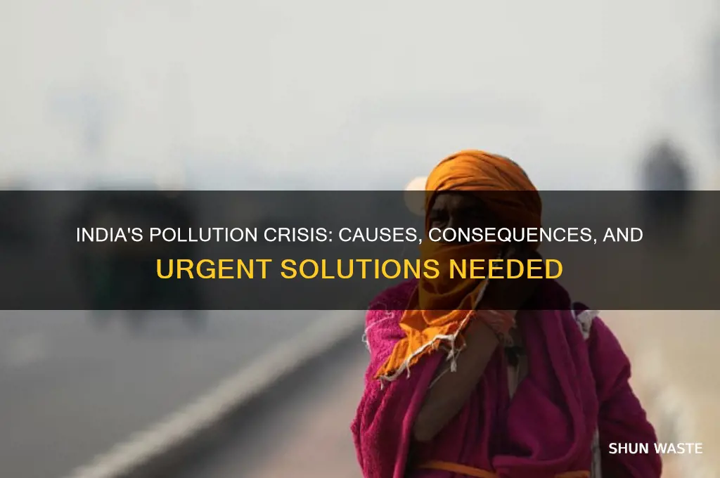 India's Pollution Crisis: Causes, Consequences, And Urgent Solutions ...
