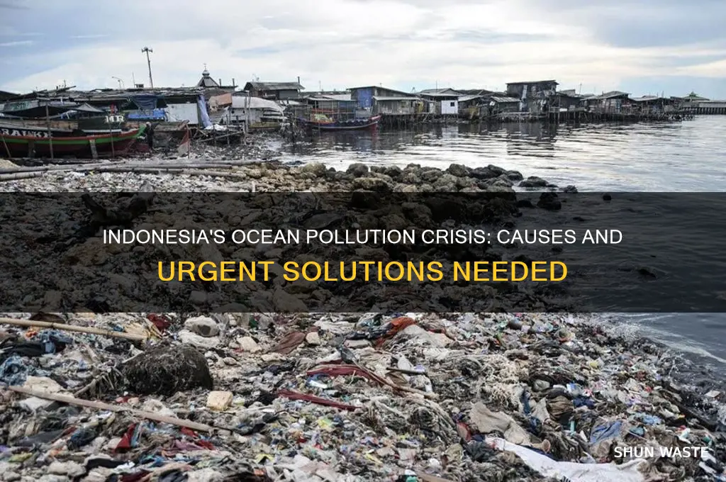 Indonesia's Ocean Pollution Crisis: Causes And Urgent Solutions Needed ...