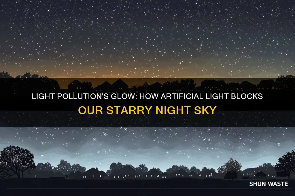 Light Pollution's Glow: How Artificial Light Blocks Our Starry Night ...