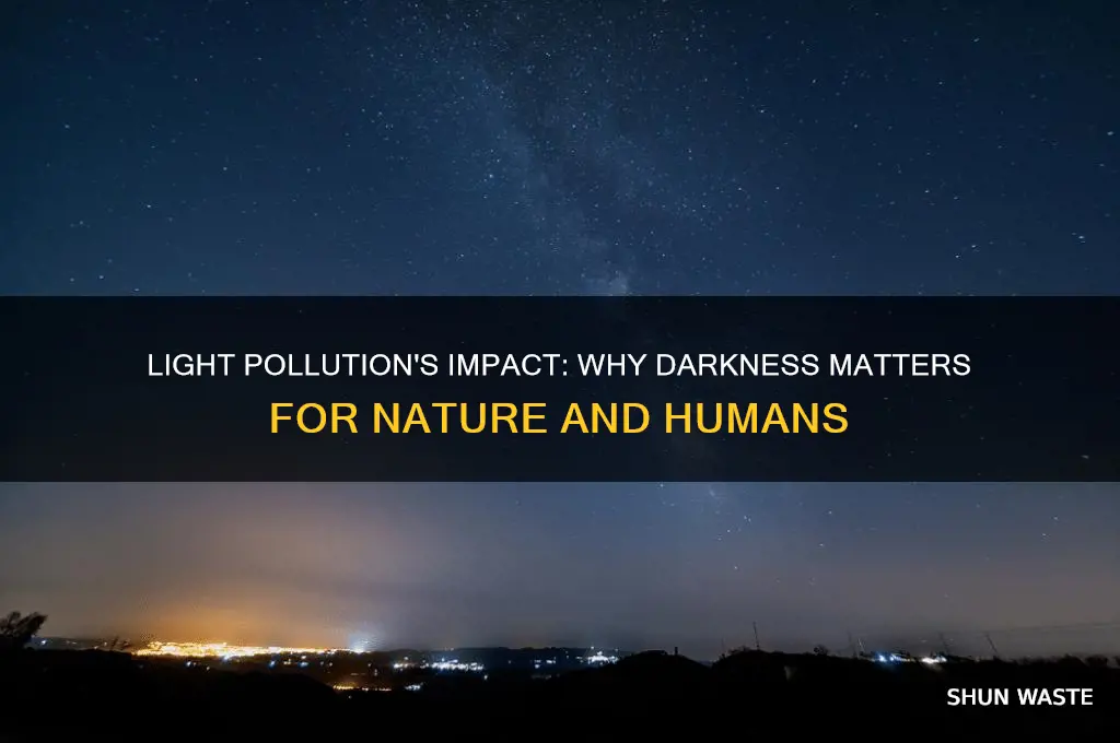 Light Pollution's Impact: Why Darkness Matters For Nature And Humans ...