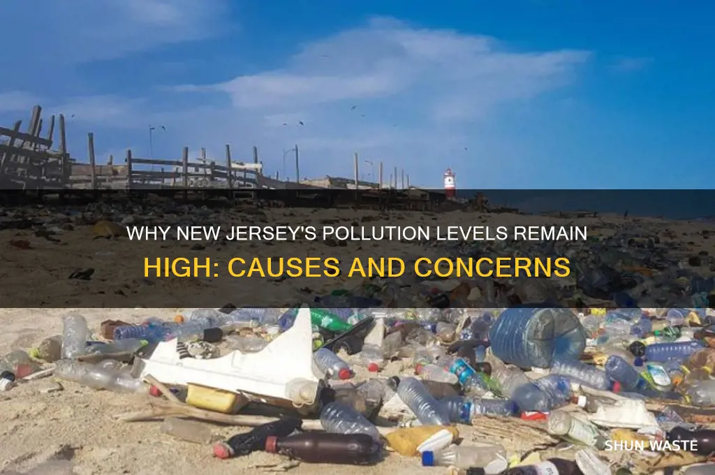 Why New Jersey's Pollution Levels Remain High: Causes And Concerns ...