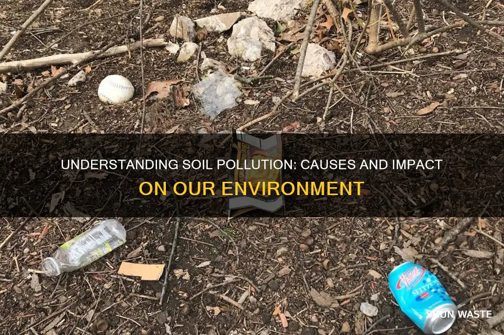 Understanding Soil Pollution: Causes And Impact On Our Environment ...