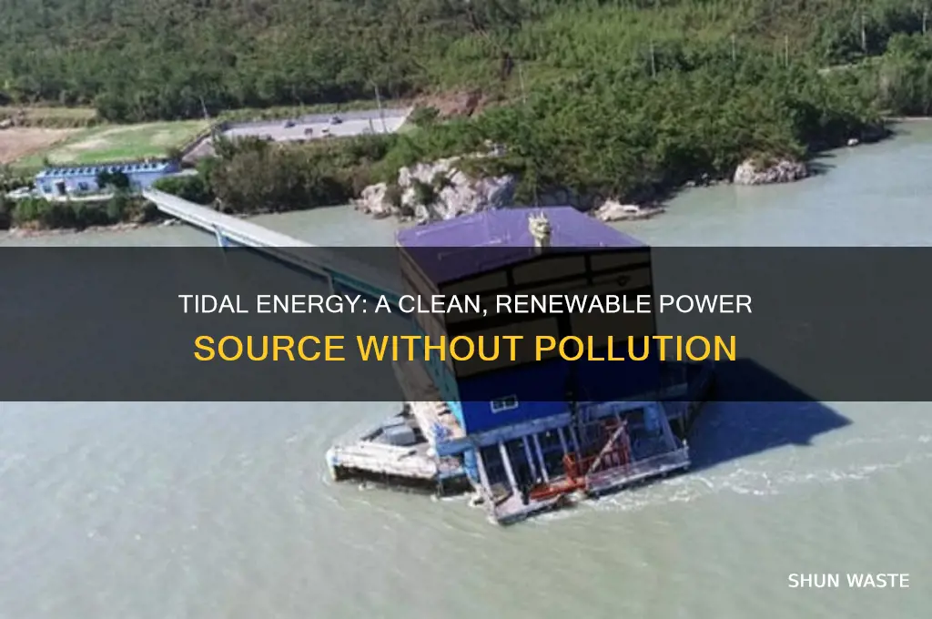 Tidal Energy: A Clean, Renewable Power Source Without Pollution | ShunWaste