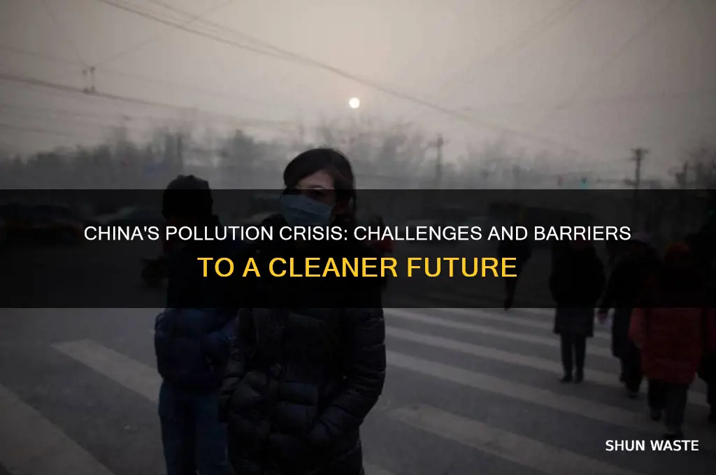 China's Pollution Crisis: Challenges And Barriers To A Cleaner Future ...
