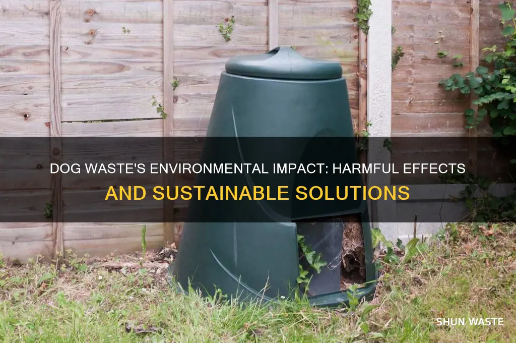 Dog Waste's Environmental Impact: Harmful Effects And Sustainable ...