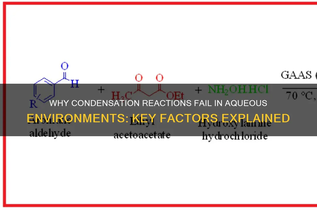 Why Condensation Reactions Fail In Aqueous Environments: Key Factors ...
