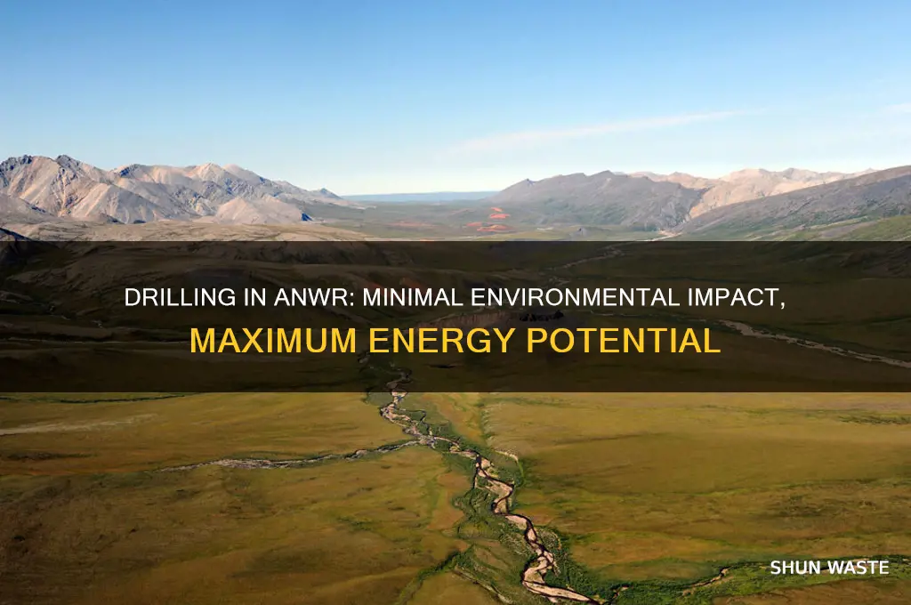Drilling In Anwr: Minimal Environmental Impact, Maximum Energy ...