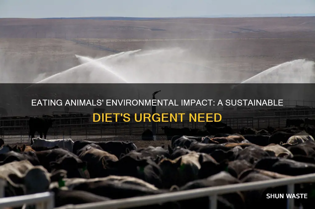 Eating Animals' Environmental Impact: A Sustainable Diet's Urgent Need ...