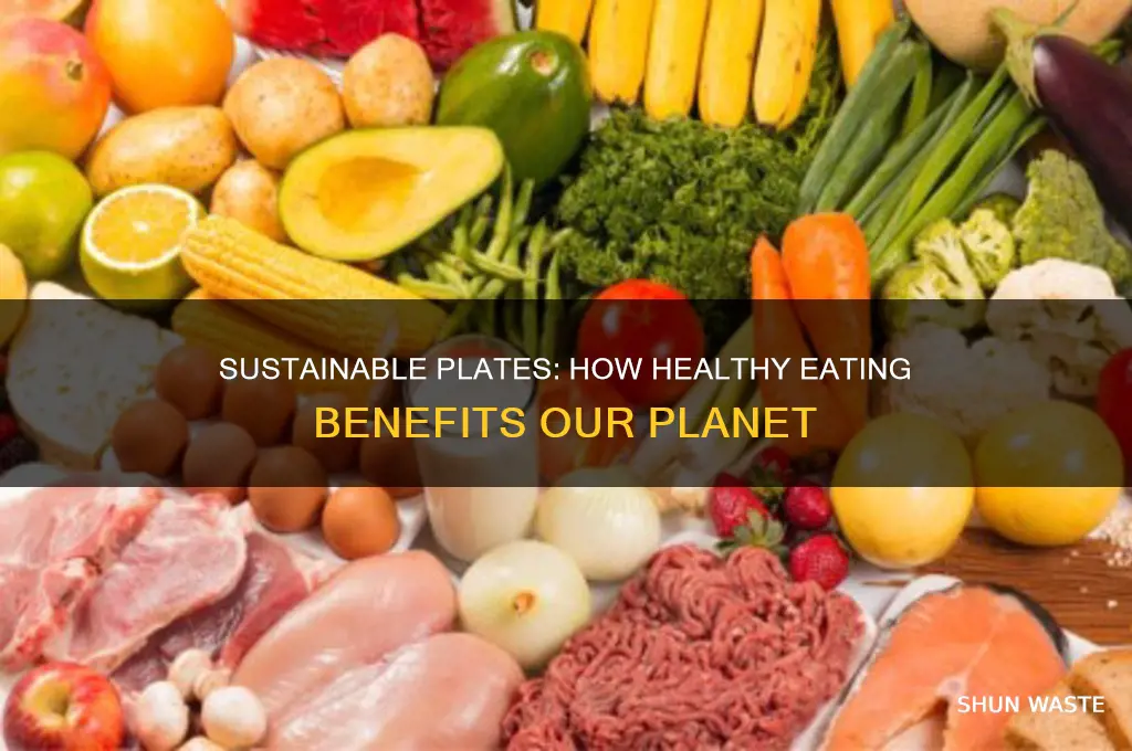 Sustainable Plates: How Healthy Eating Benefits Our Planet | ShunWaste