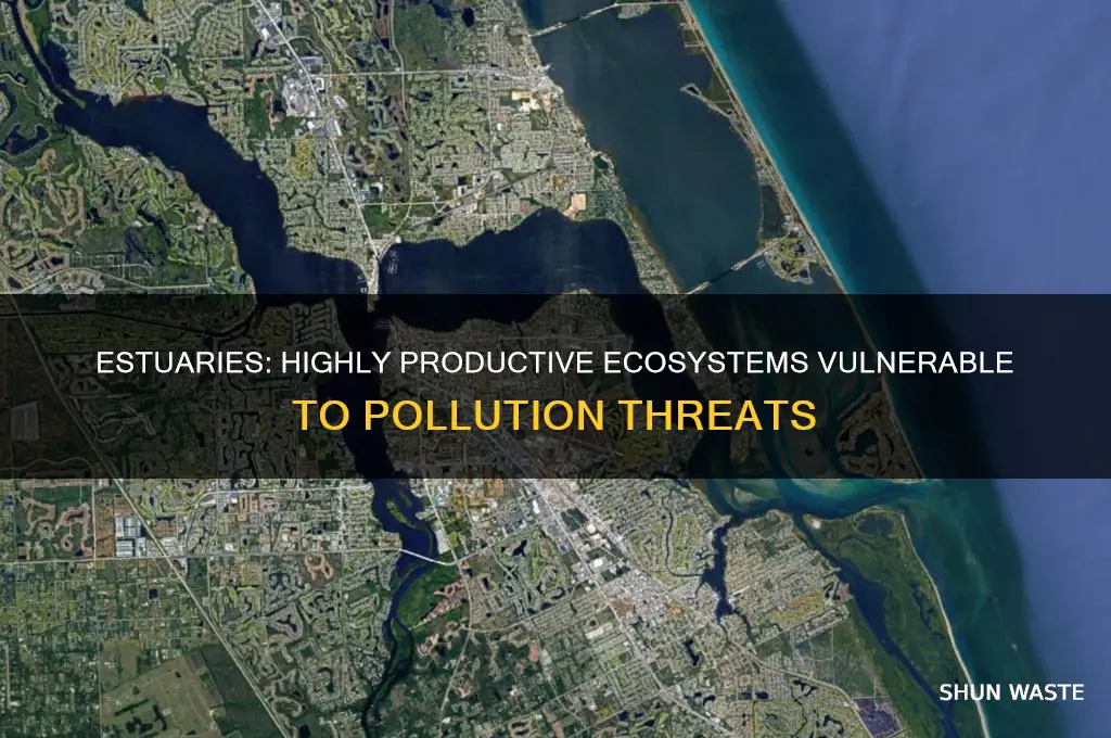 Estuaries: Highly Productive Ecosystems Vulnerable To Pollution Threats ...